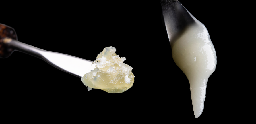 Fresh Press Rosin vs Cold Cure Rosin